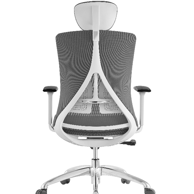 STEELY - High Back Ergonomic Strong Lumber Support Office Chair ...